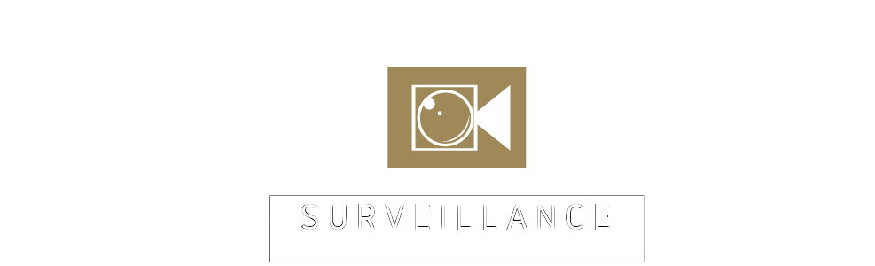 24/7 Smart Monitored Security Cameras with AI Technology